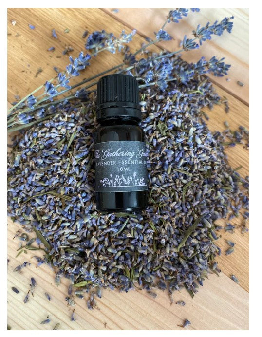 The Benefits of Lavender Essential Oil – The Gathering Garden